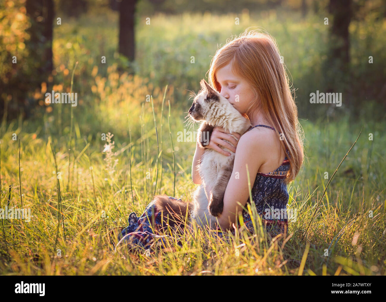 Junges mädchen mit katze -Fotos und -Bildmaterial in hoher Auflösung ...