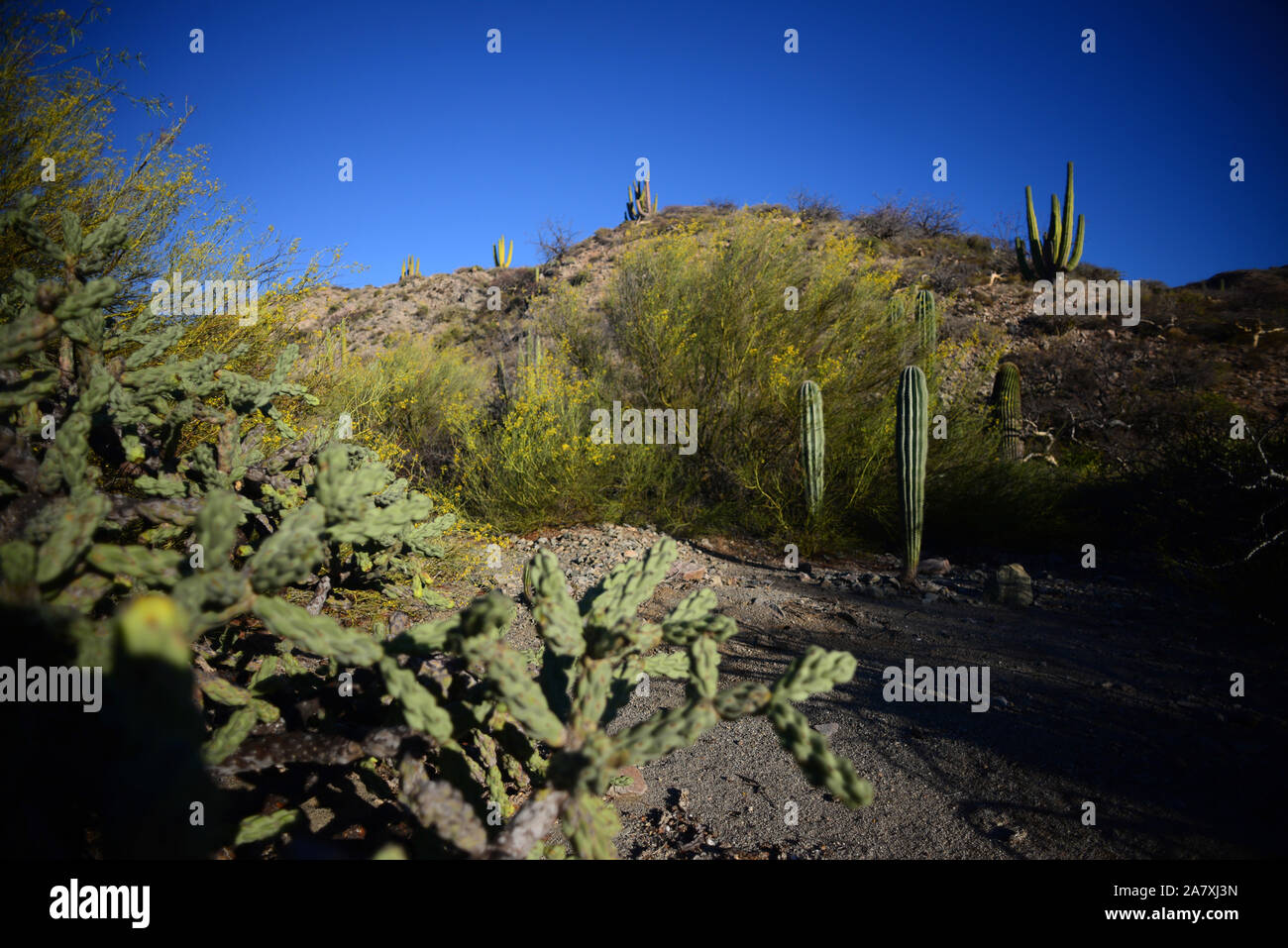 Isla santa catalina -Fotos und -Bildmaterial in hoher Auflösung – Alamy