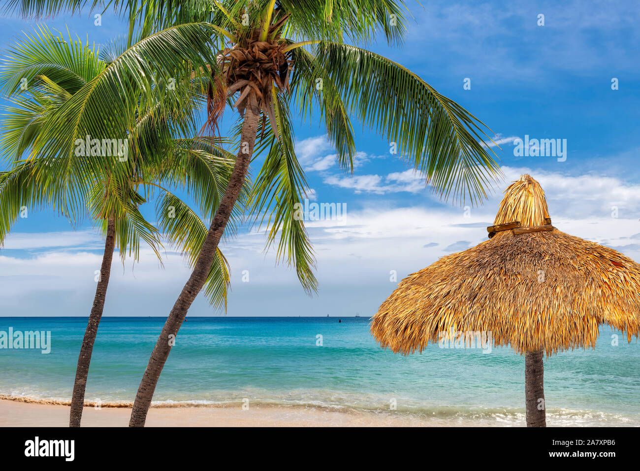 Palm Island Stockfotos und -bilder Kaufen - Alamy