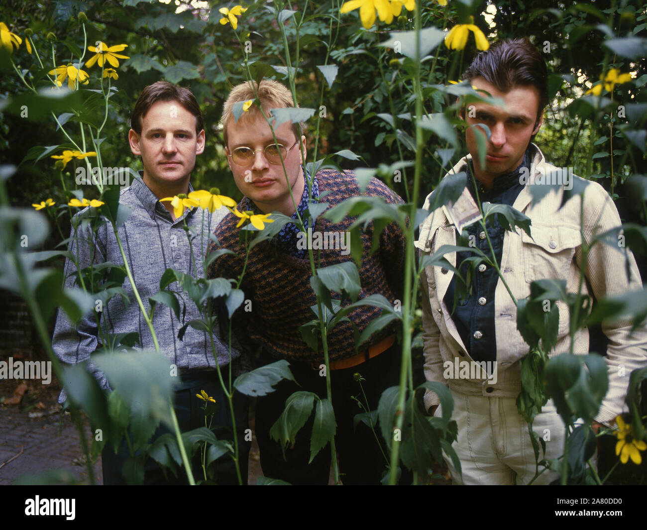 Colin moulding -Fotos und -Bildmaterial in hoher Auflösung – Alamy