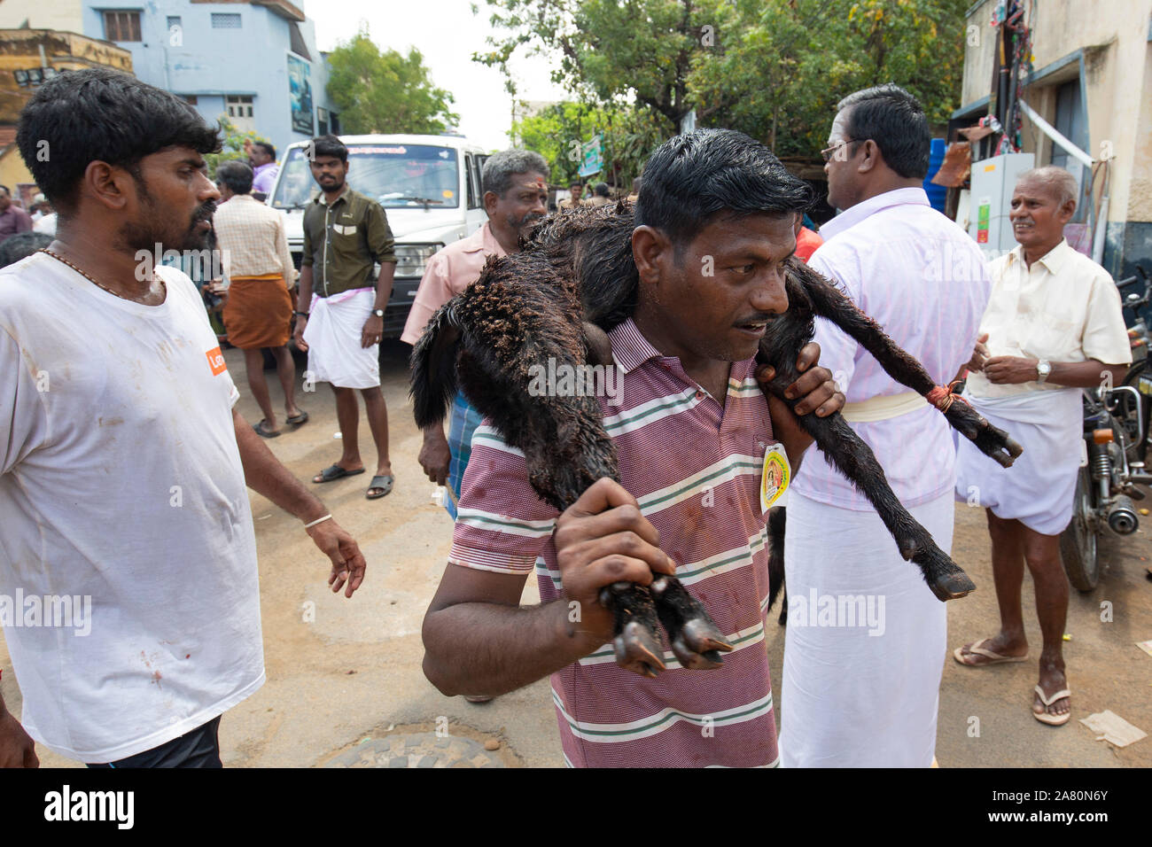 Puthur kulumai amman kutti kudi tiruvizha -Fotos und -Bildmaterial in ...