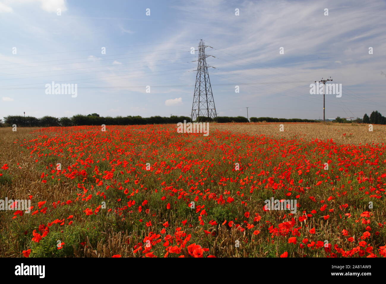 Andrew mohn -Fotos und -Bildmaterial in hoher Auflösung – Alamy