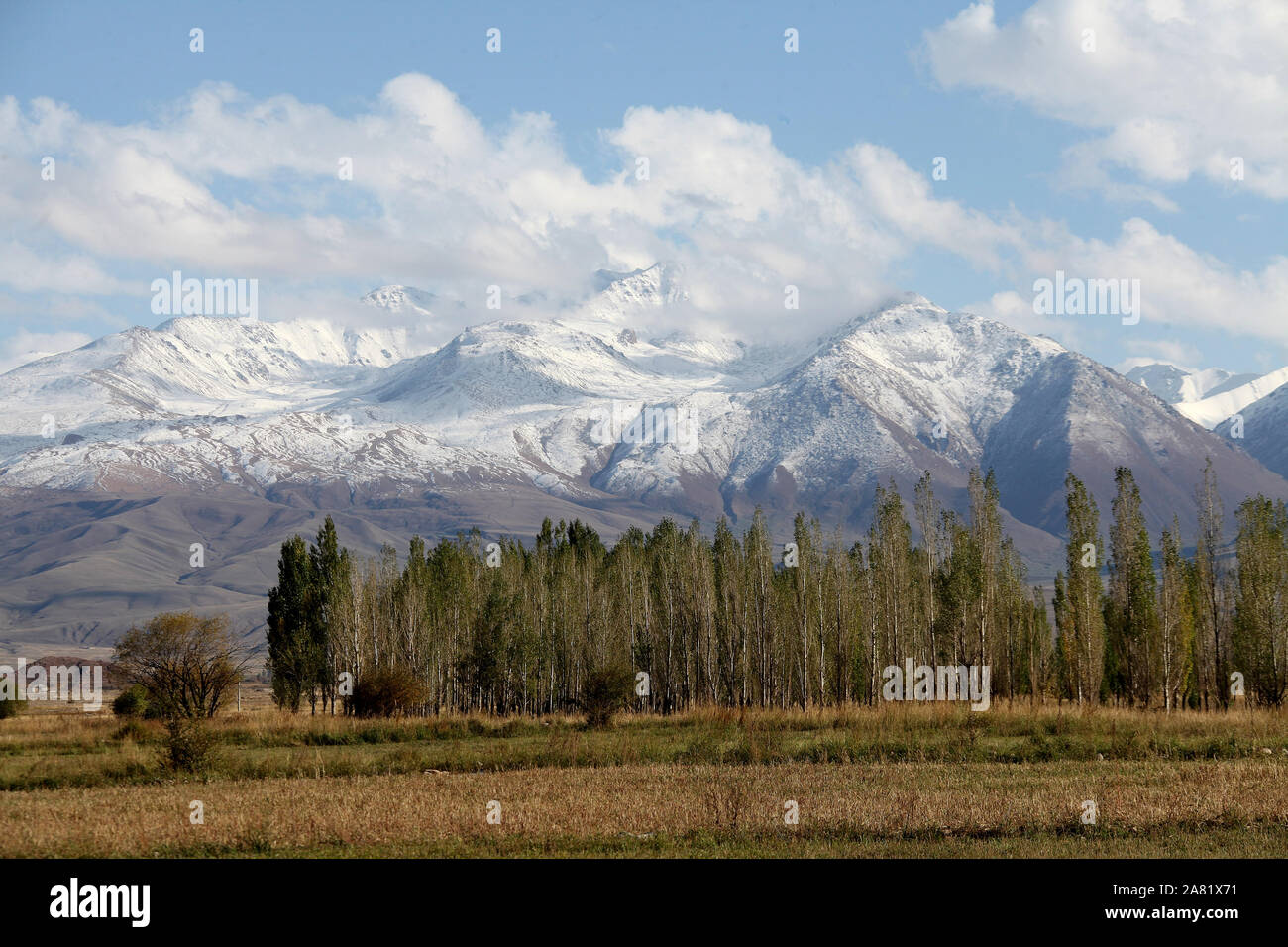 Tian shan mountains -Fotos und -Bildmaterial in hoher Auflösung – Alamy