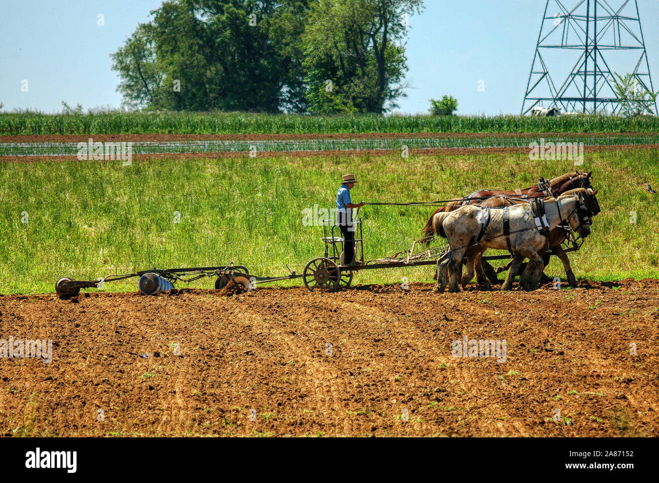 Pferd ziehender pflug -Fotos und -Bildmaterial in hoher Auflösung – Alamy