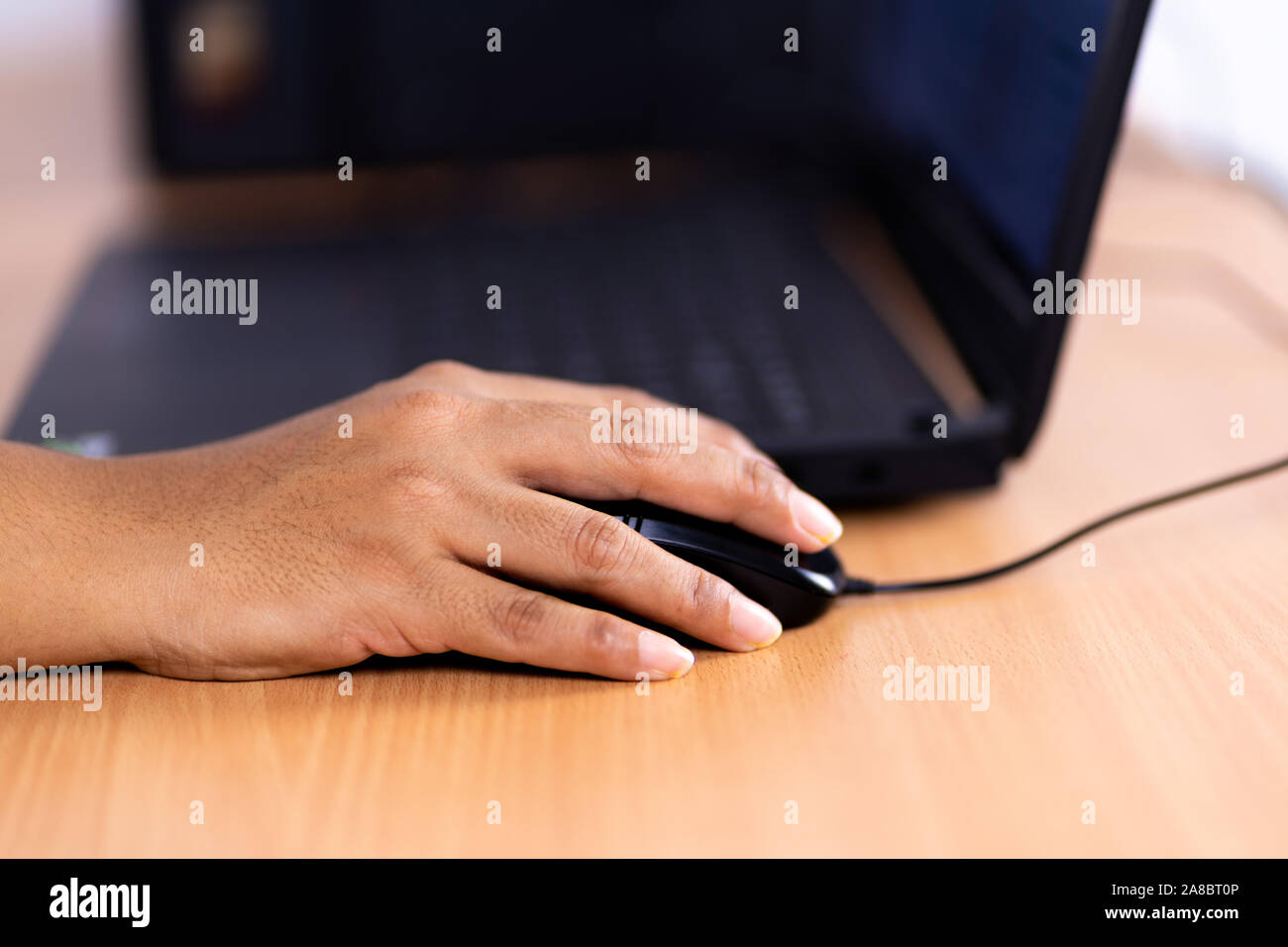 Maus halten -Fotos und -Bildmaterial in hoher Auflösung – Alamy