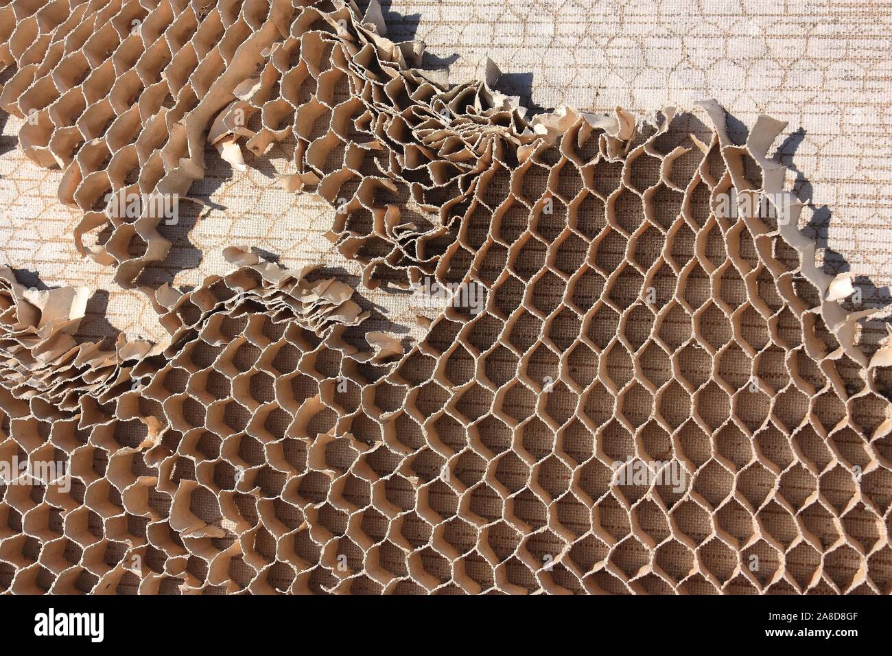 Waben struktur -Fotos und -Bildmaterial in hoher Auflösung – Alamy