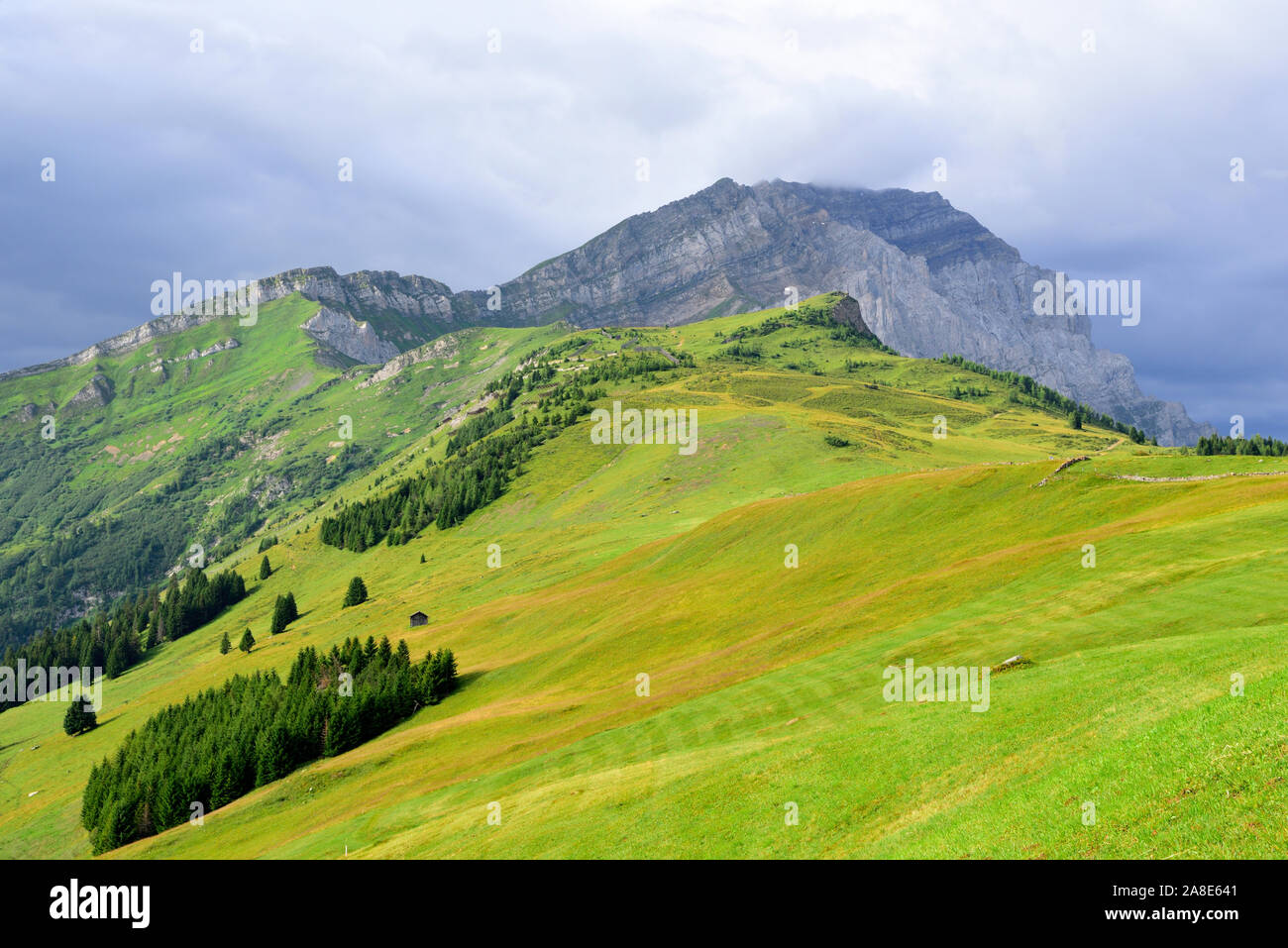 Alp Salaz, Untervaz, Berg, Haldensteiner Calanda, Alpen, Kanton ...
