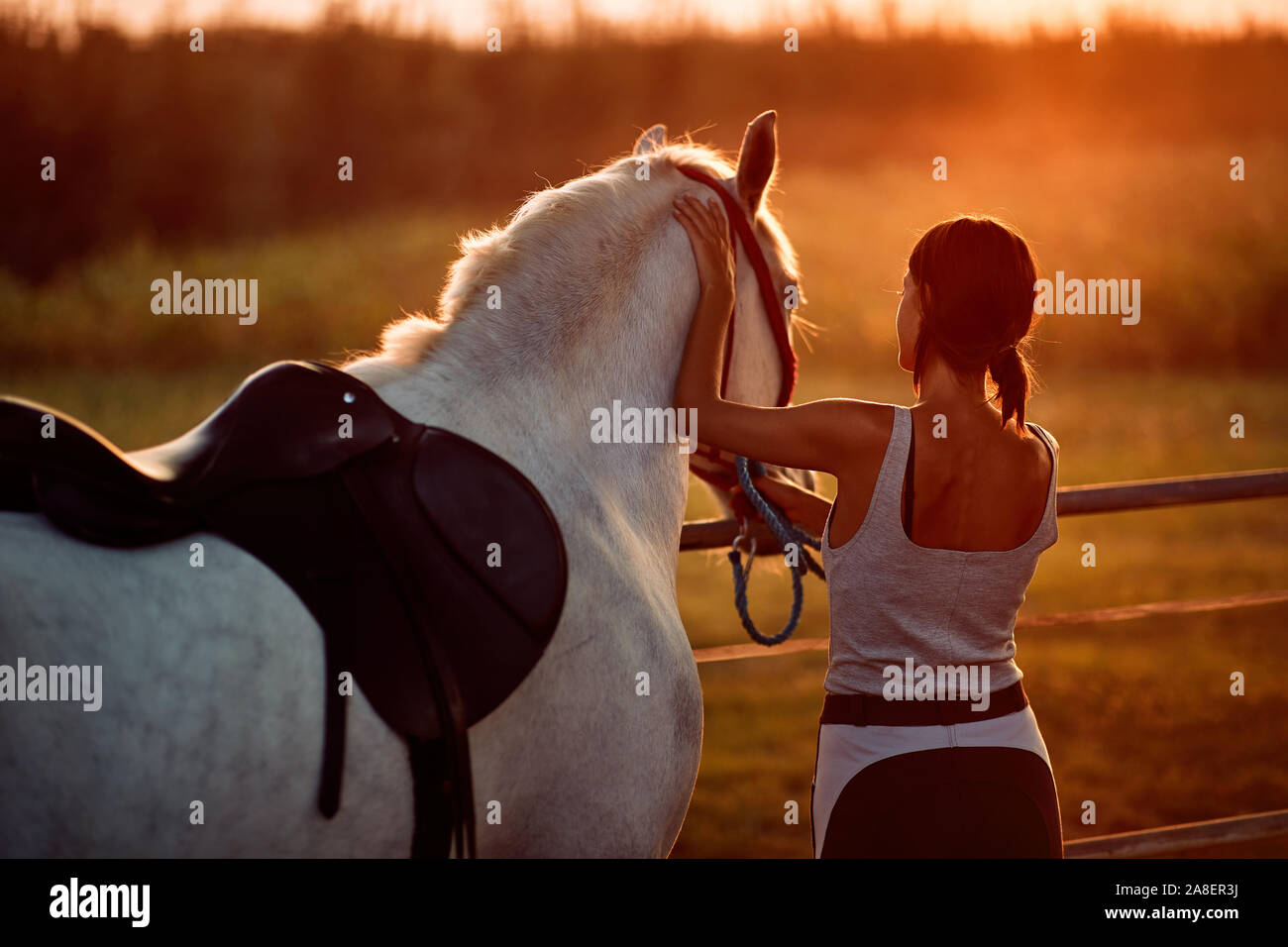 Schöne reiterin sattel -Fotos und -Bildmaterial in hoher Auflösung – Alamy