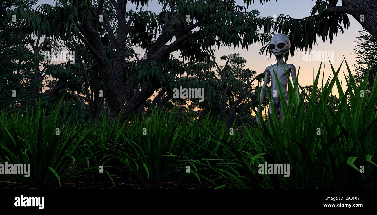 Zeta reticuli -Fotos und -Bildmaterial in hoher Auflösung – Alamy