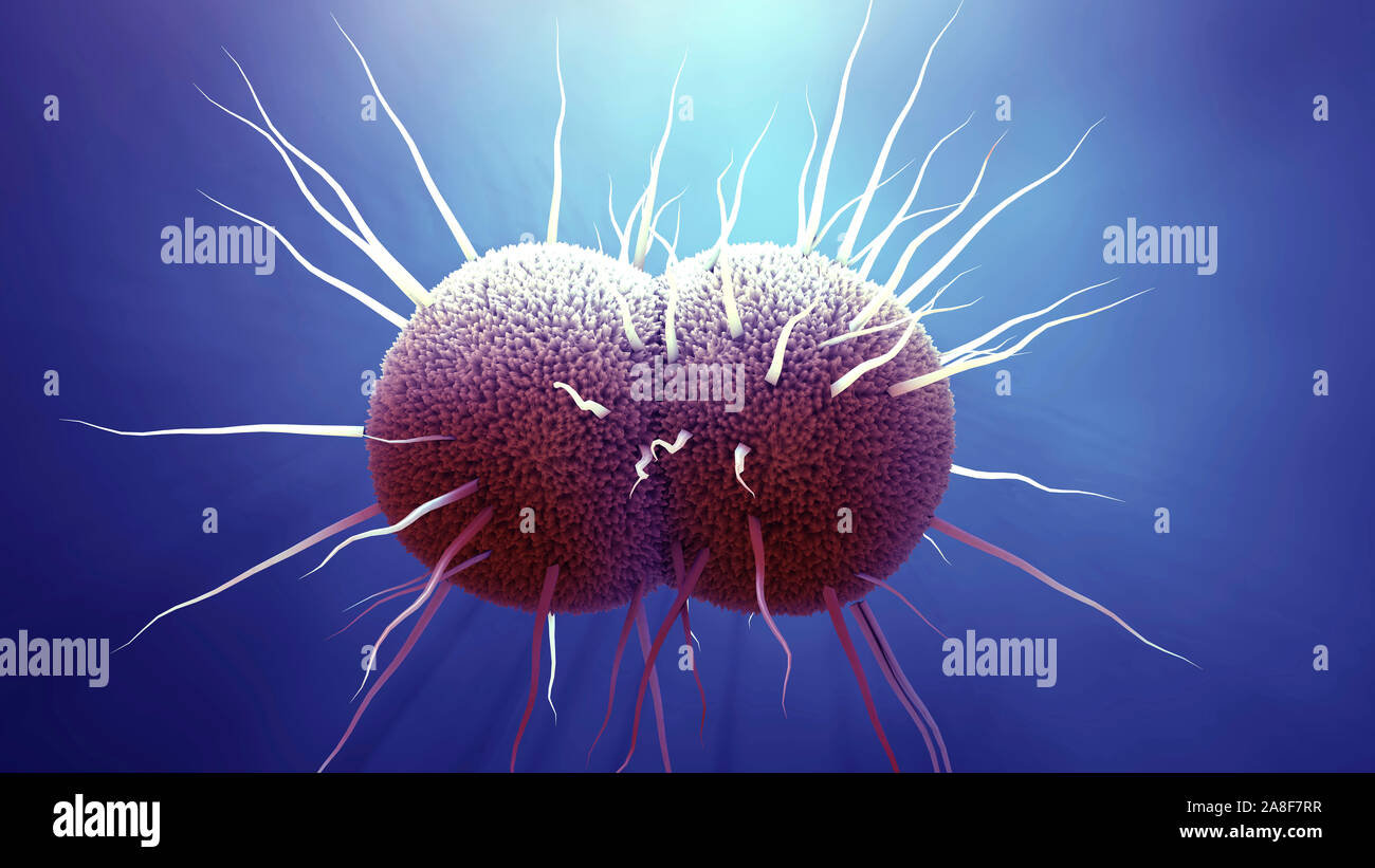 Gonorrhoe gonorrhoe -Fotos und -Bildmaterial in hoher Auflösung – Alamy