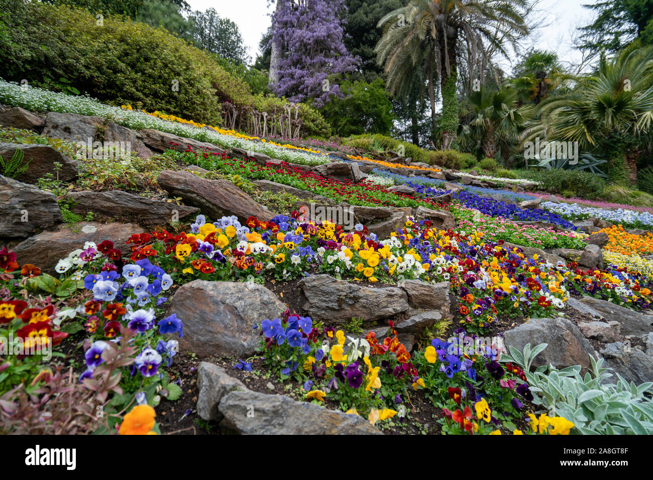 Schöner Garten mit Blumen in Tremezzo - Comer See in Italien ...