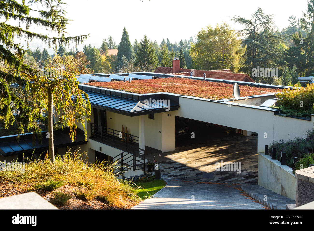 Moderne Villa in der Architektur am Hang mit Rasen Dach gebaut, Villa ...