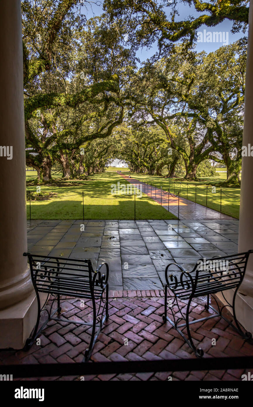 Oak alley plantation -Fotos und -Bildmaterial in hoher Auflösung – Alamy