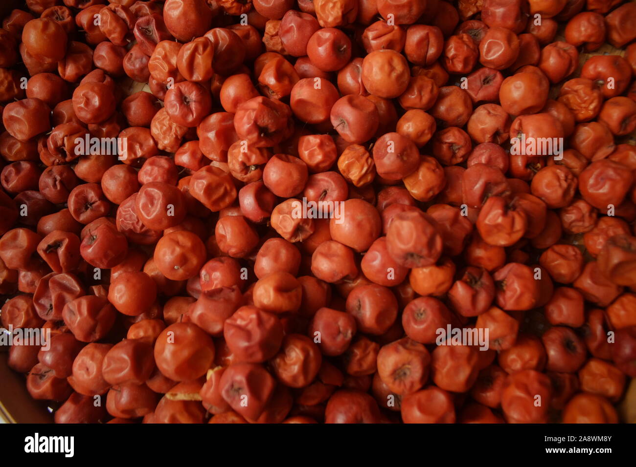 Rot und klein -Fotos und -Bildmaterial in hoher Auflösung – Alamy