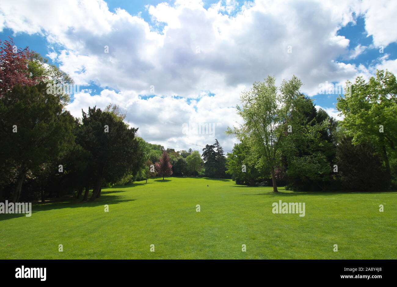 Weinheim garten -Fotos und -Bildmaterial in hoher Auflösung – Alamy