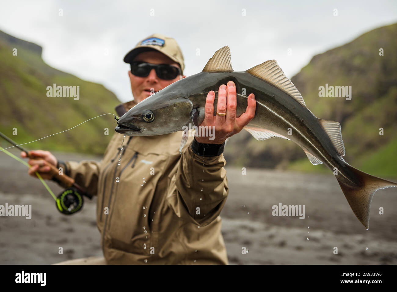 Hobby mit 40 -Fotos und -Bildmaterial in hoher Auflösung – Alamy