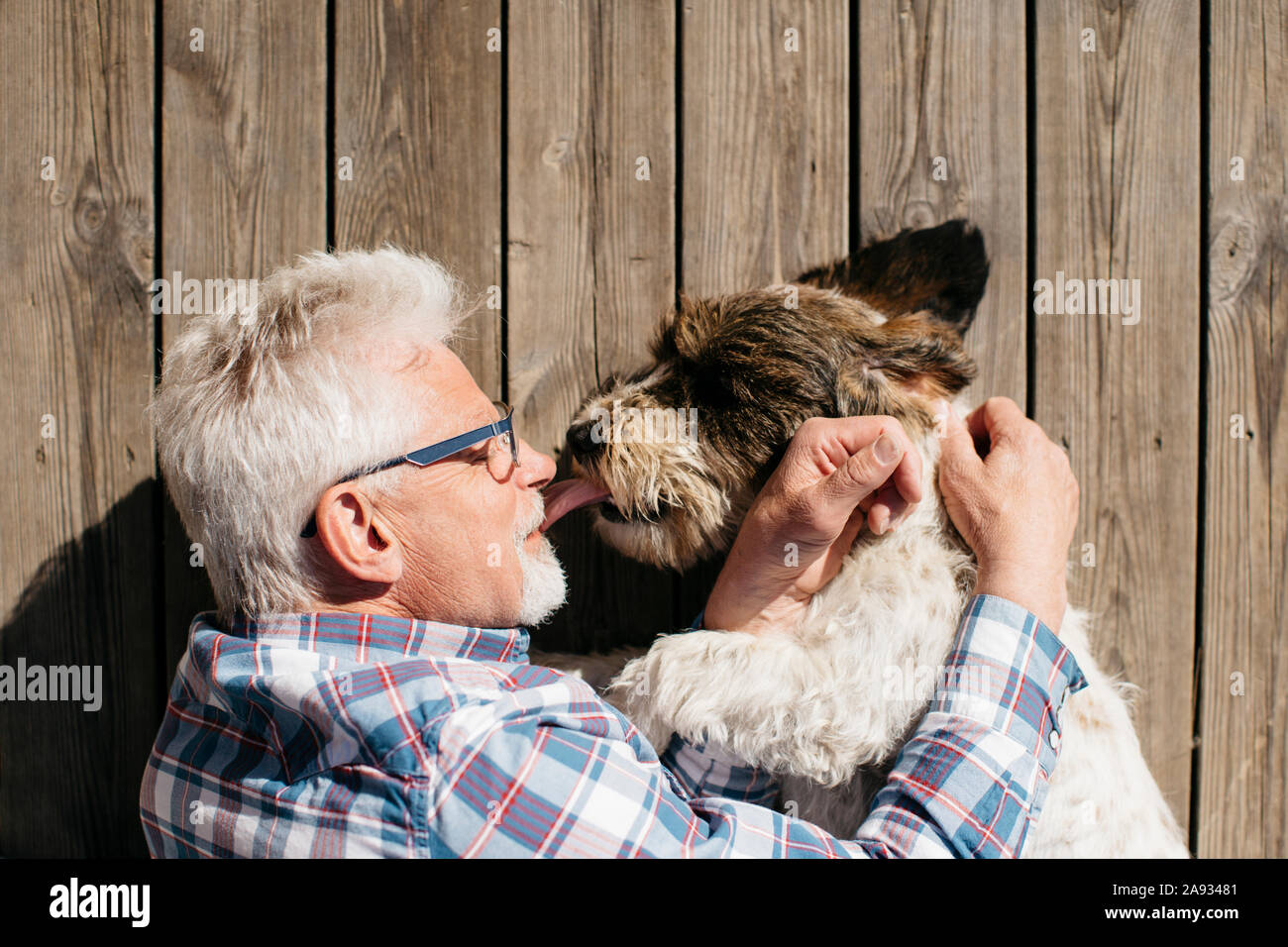 Kopf und schultern des hundes -Fotos und -Bildmaterial in hoher ...