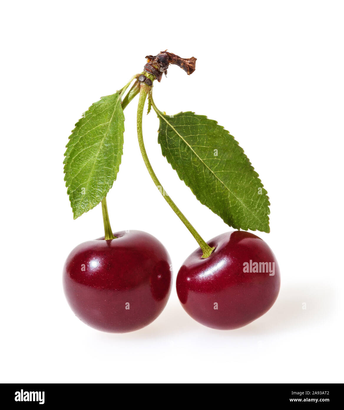 Ganze kirsche -Fotos und -Bildmaterial in hoher Auflösung – Alamy