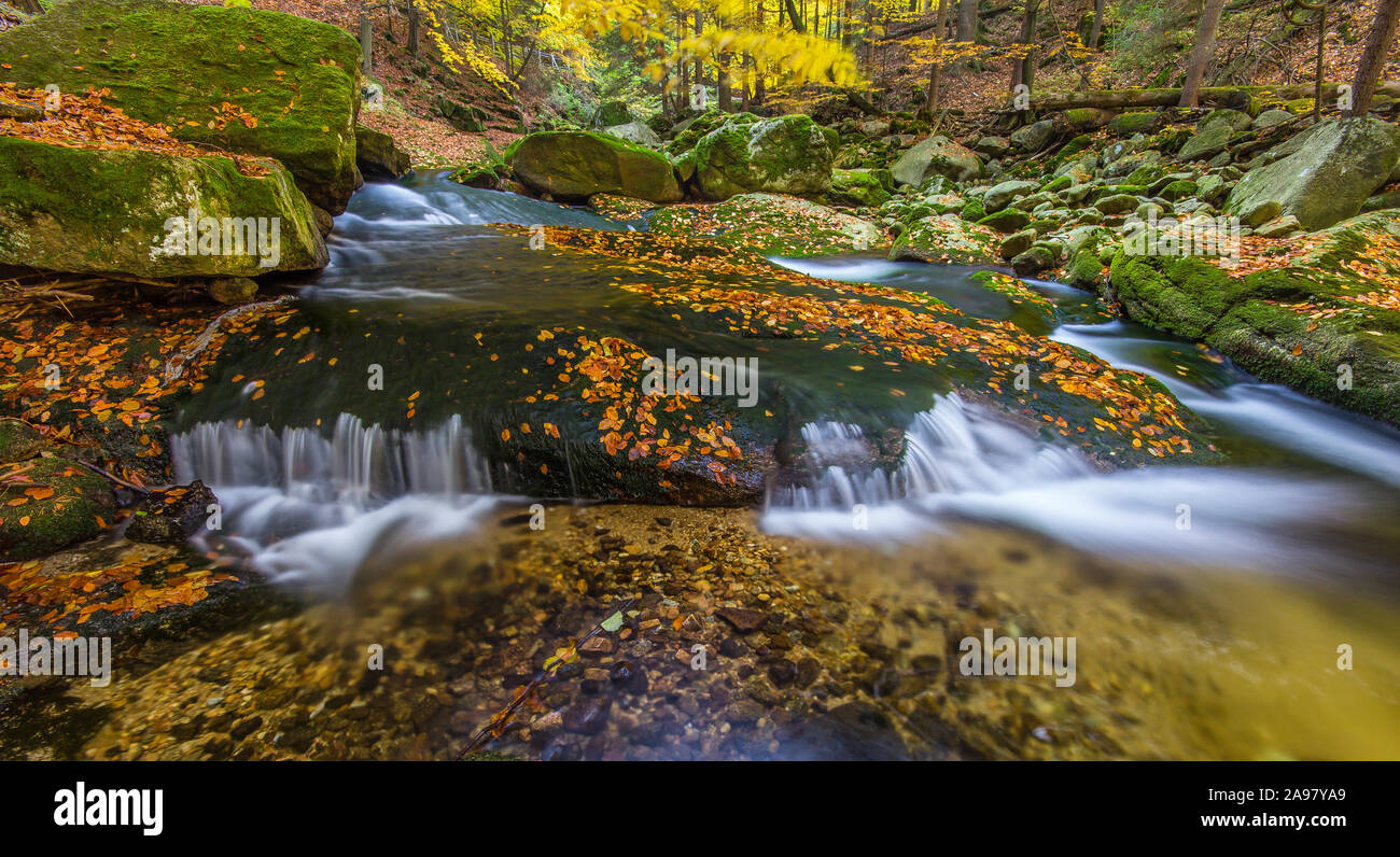 Kolory jesieni -Fotos und -Bildmaterial in hoher Auflösung – Alamy