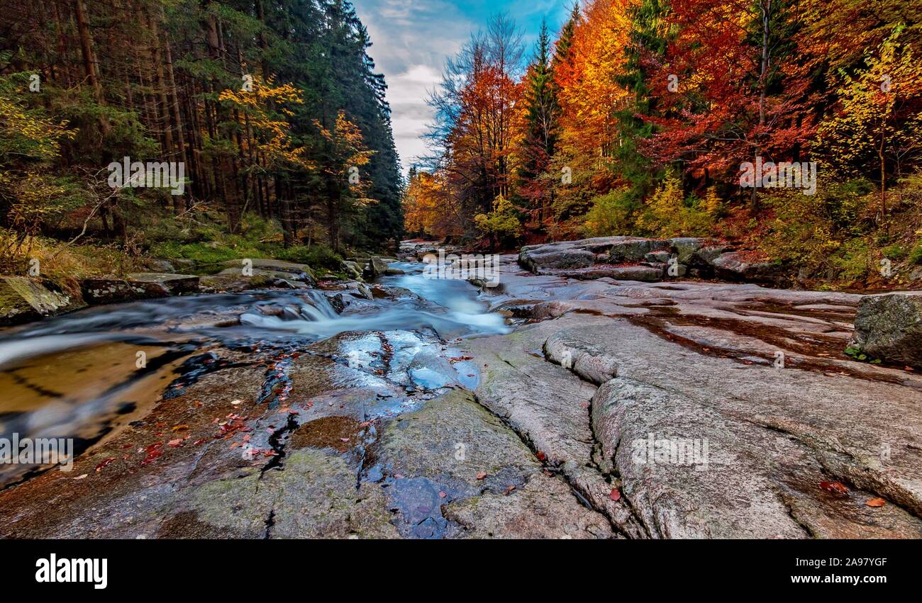 Kolory jesieni -Fotos und -Bildmaterial in hoher Auflösung – Alamy