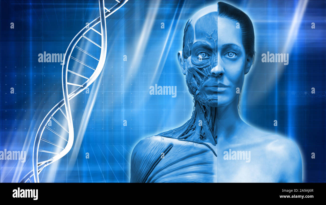 Zusammenfassung Hintergrund der menschliche Körper Anatomie und DNA ... Zusammenfassung Hintergrund der menschliche Körper Anatomie und DNA ...
