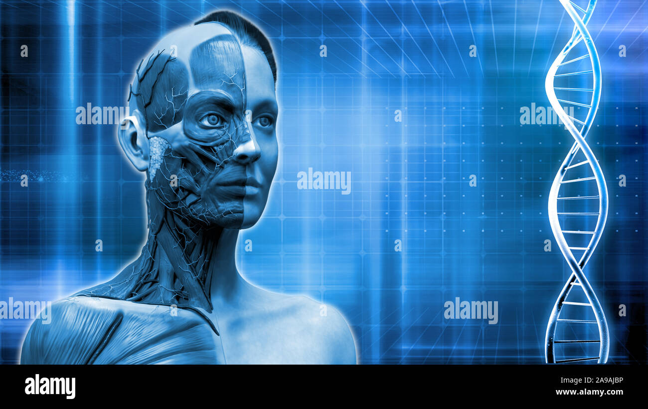 Zusammenfassung Hintergrund der menschliche Körper Anatomie und DNA ... Zusammenfassung Hintergrund der menschliche Körper Anatomie und DNA ...