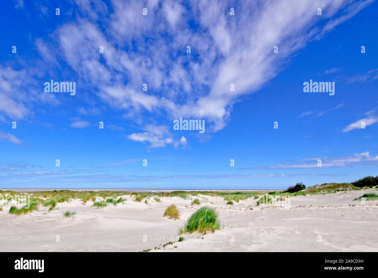 Borkum insel -Fotos und -Bildmaterial in hoher Auflösung – Alamy