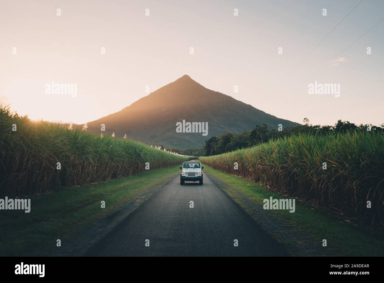 Gordonvale pyramide -Fotos und -Bildmaterial in hoher Auflösung – Alamy