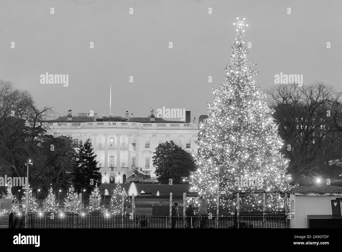 1970s christmas tree -Fotos und -Bildmaterial in hoher Auflösung – Alamy
