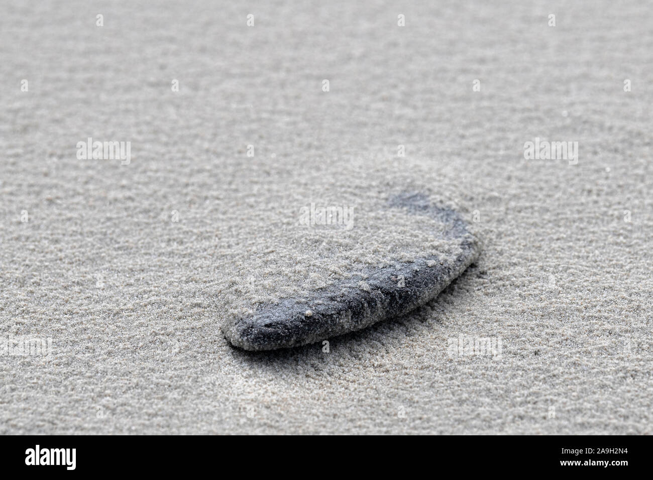 Wimmelbild strand -Fotos und -Bildmaterial in hoher Auflösung – Alamy
