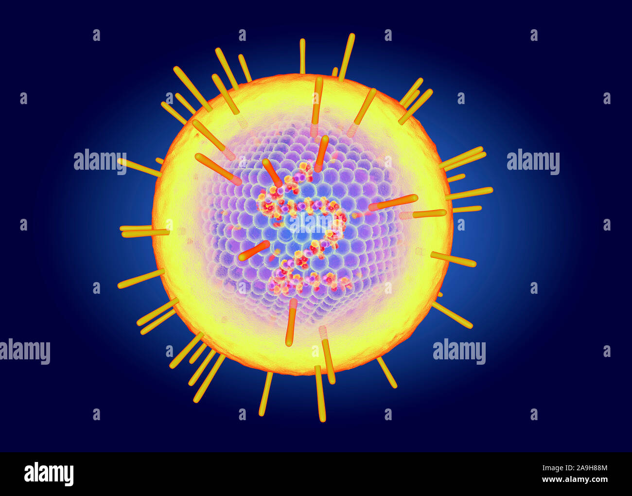 Epstein barr virus (ebv) -Fotos und -Bildmaterial in hoher Auflösung ...