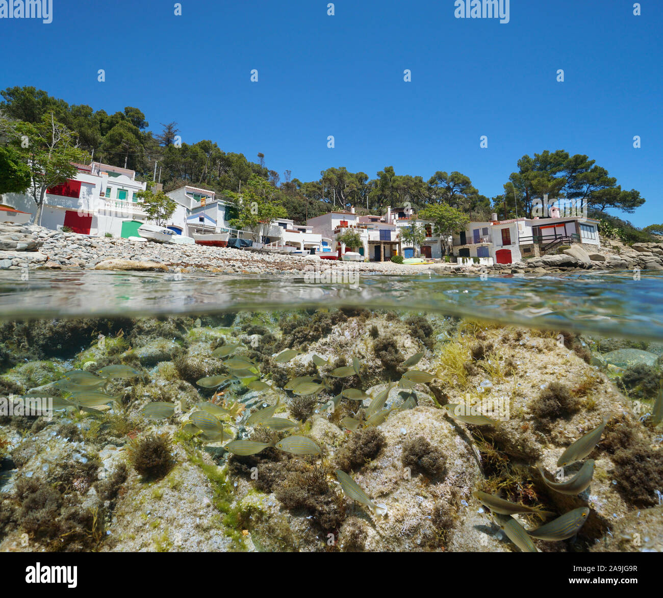 Palamos catalonia -Fotos und -Bildmaterial in hoher Auflösung – Alamy