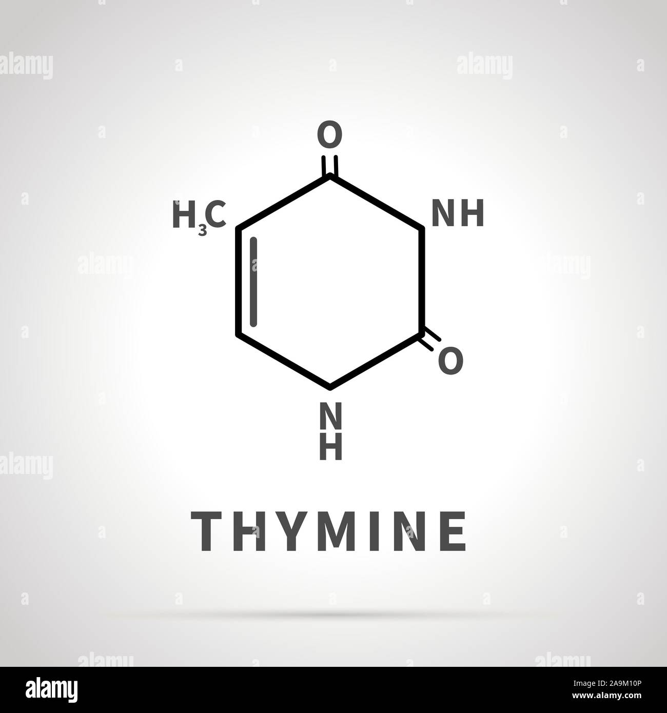 Chemische Struktur von Thymin, einer der vier Nukleinbasen, einfach das ...