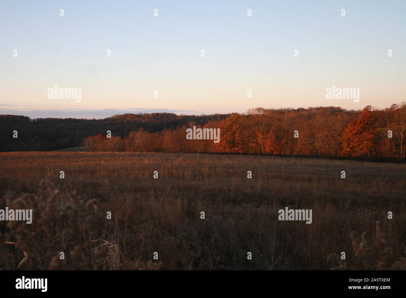 Sonnenlite -Fotos und -Bildmaterial in hoher Auflösung – Alamy