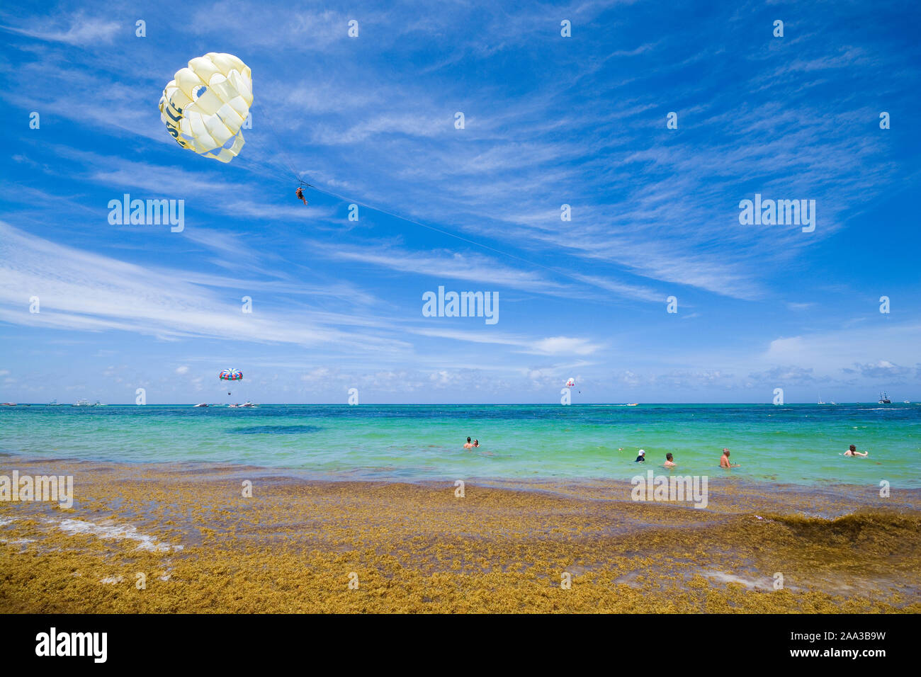 Sargassum punta cana dominican republic -Fotos und -Bildmaterial in ...