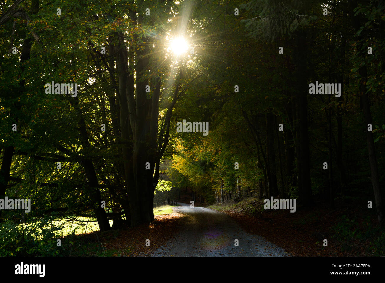 Spessart nature park -Fotos und -Bildmaterial in hoher Auflösung – Alamy Spessart nature park -Fotos und -Bildmaterial in hoher Auflösung – Alamy