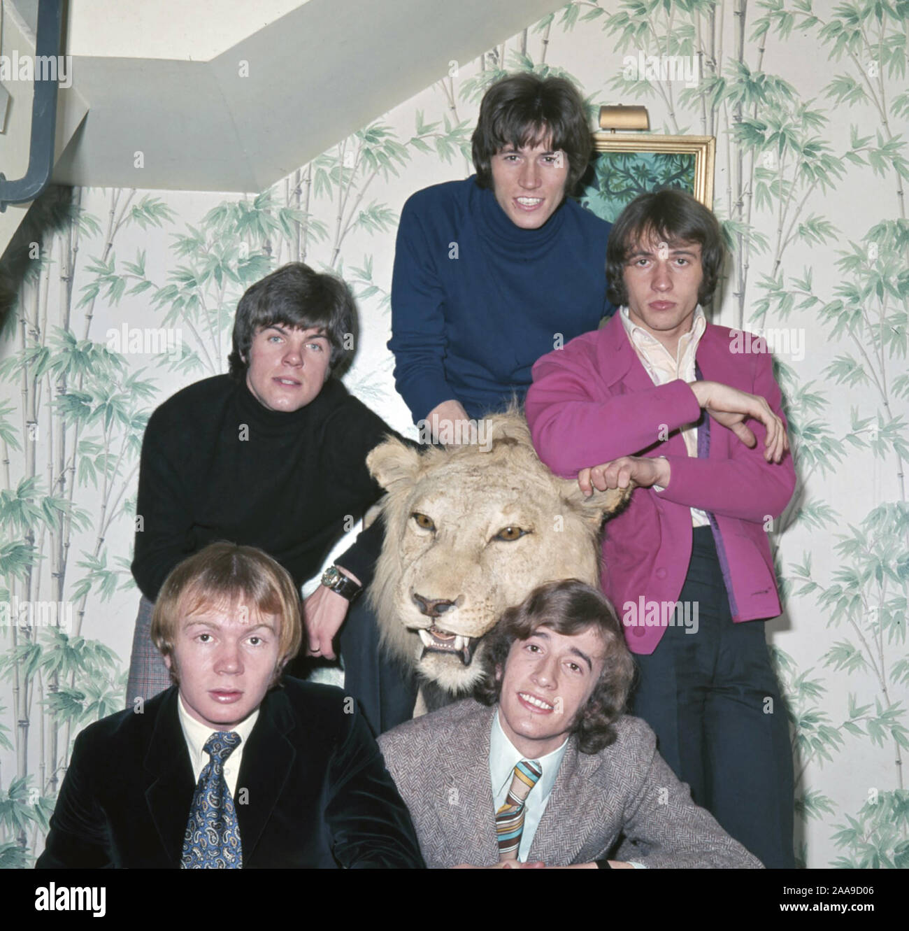 BEE GEES pop Gruppe in 1967. Im Uhrzeigersinn von oben: Barry Gibb ...