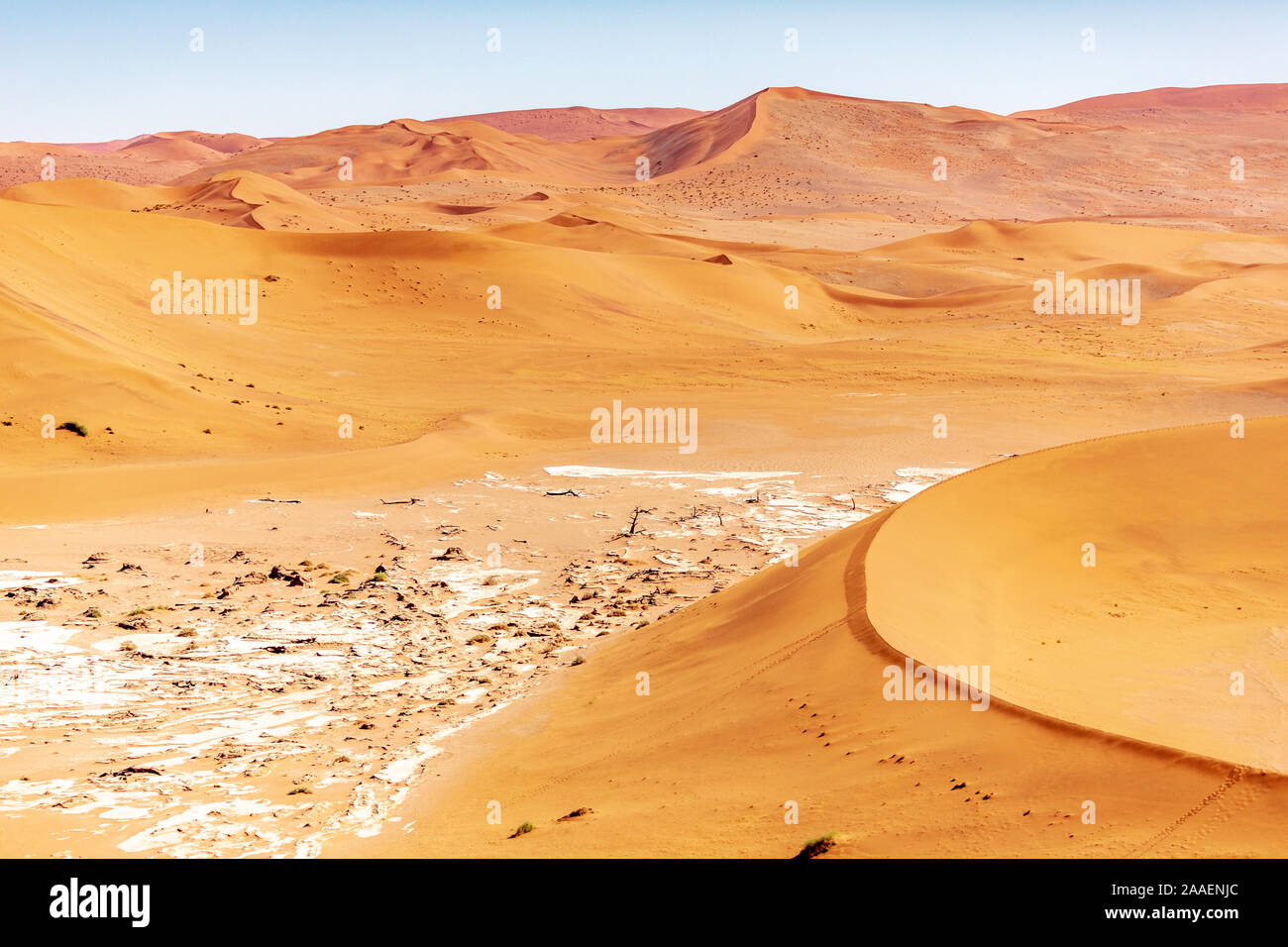 Rote Sanddünen im Deadvlei, Sossusvlei, Namib-Naukluft-Nationalpark ...