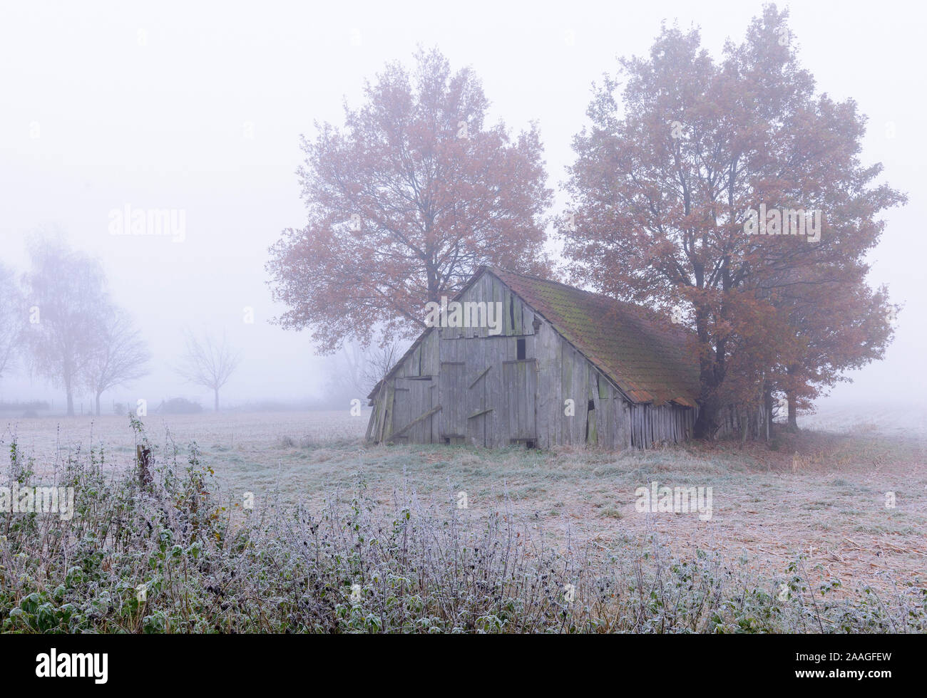 Platziere nebel -Fotos und -Bildmaterial in hoher Auflösung – Alamy