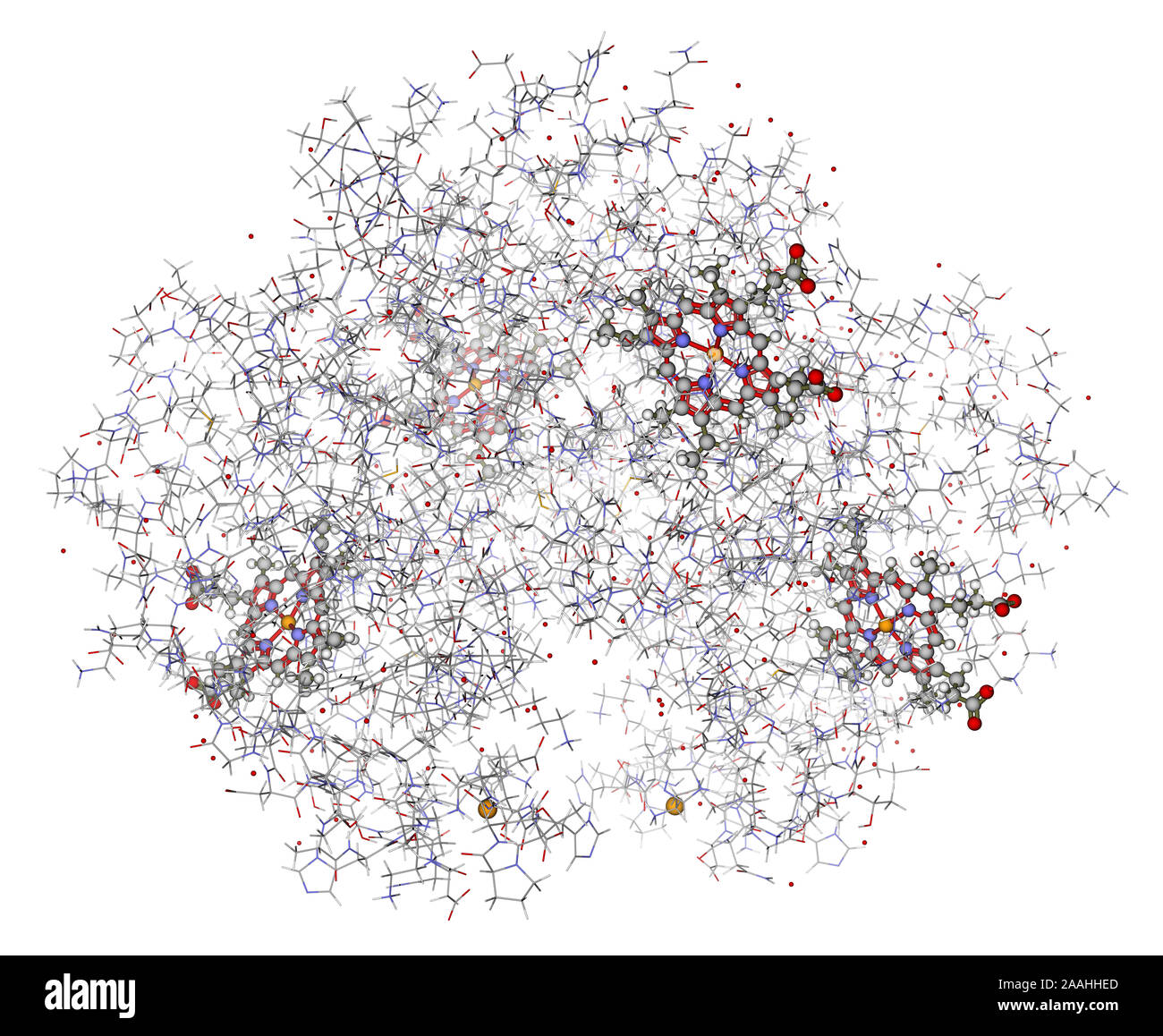 Hemoglobin molecule -Fotos und -Bildmaterial in hoher Auflösung – Alamy