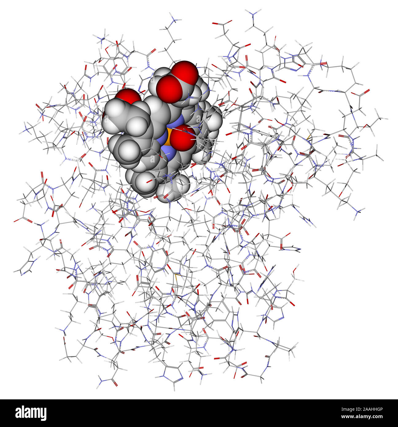 Hemoglobin molecule -Fotos und -Bildmaterial in hoher Auflösung – Alamy