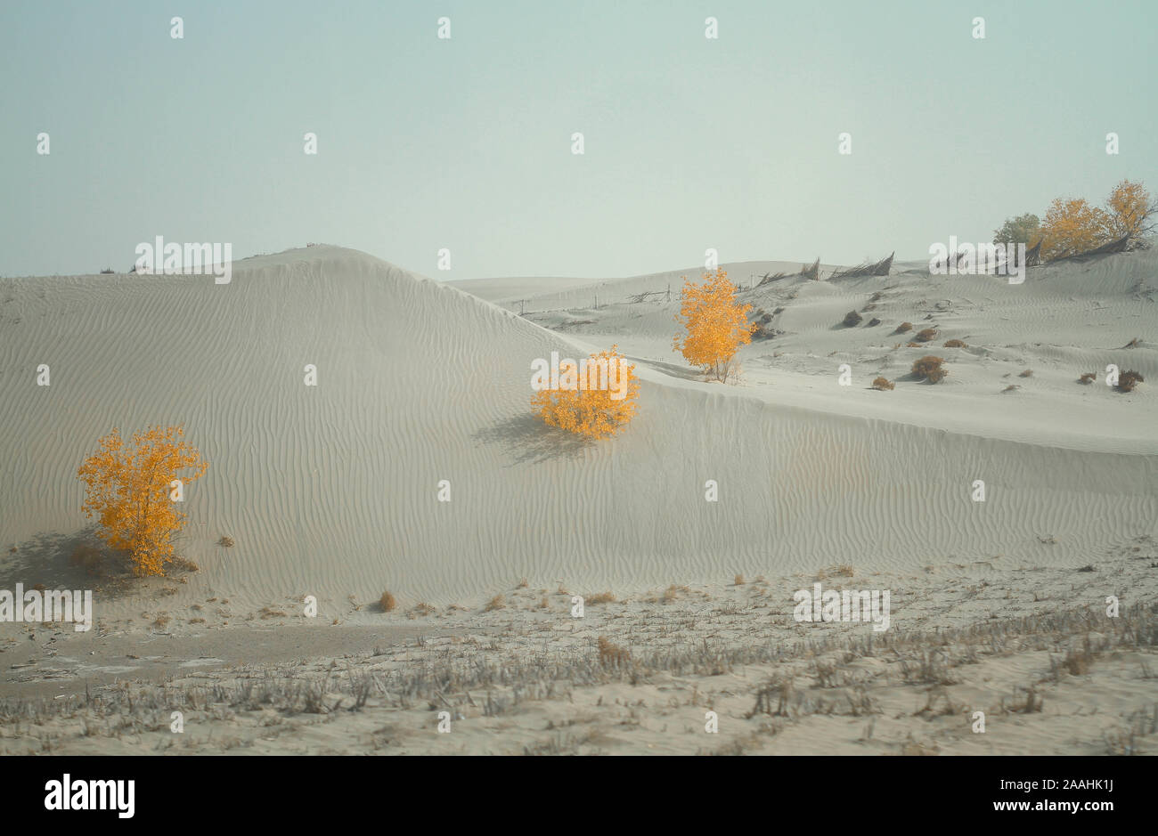 Wüste taklamakan tarimbecken -Fotos und -Bildmaterial in hoher ...