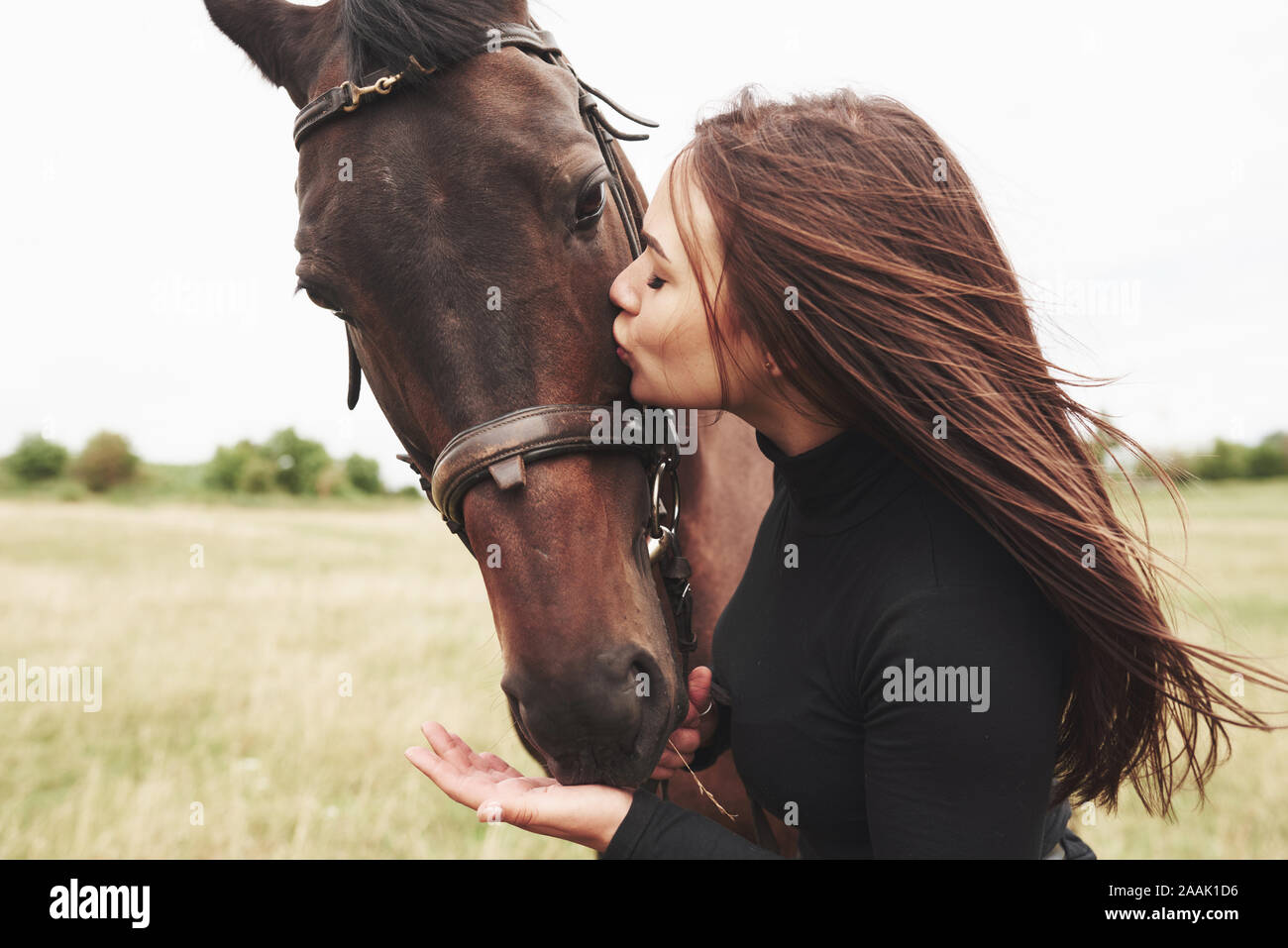 Pferdefrau reiterin posiert -Fotos und -Bildmaterial in hoher Auflösung ...