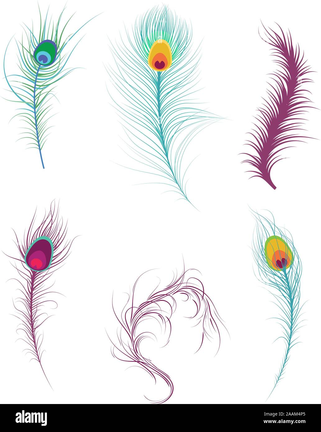 Lebendige feder Stock-Vektorgrafiken kaufen - Alamy