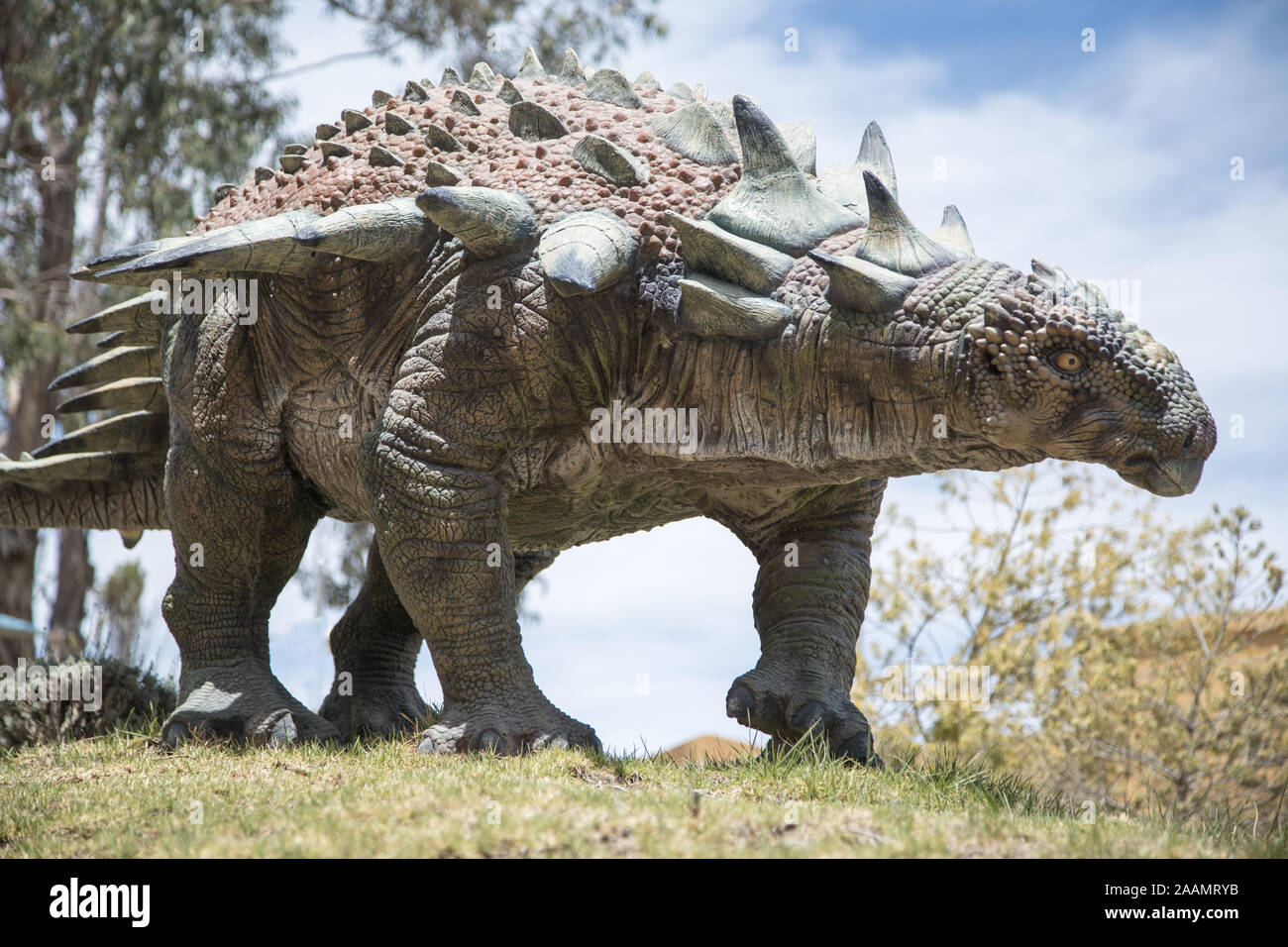 Echter dinosaurier -Fotos und -Bildmaterial in hoher Auflösung – Alamy
