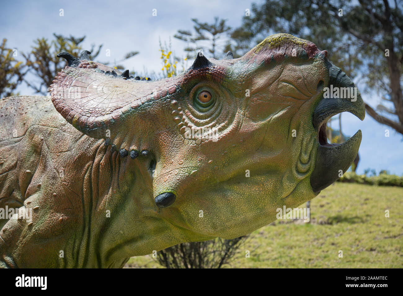 Echter dinosaurier -Fotos und -Bildmaterial in hoher Auflösung – Alamy