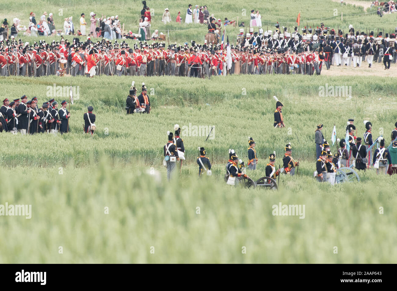 Schlacht von waterloo nachstellung -Fotos und -Bildmaterial in hoher ...