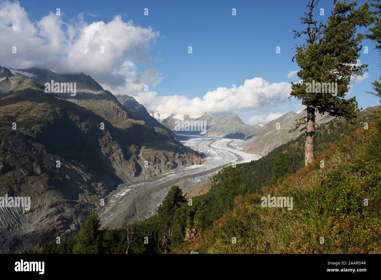 Grosser aletschgletscher -Fotos und -Bildmaterial in hoher Auflösung ...