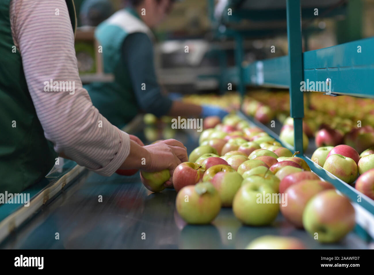 Apfel Frucht Produktion Stockfotos und -bilder Kaufen - Alamy