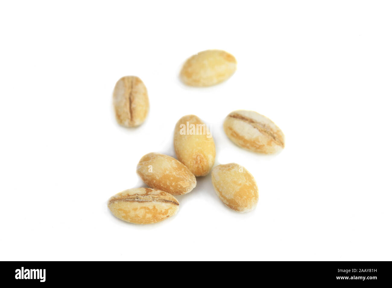 Sechs geruderte gerste -Fotos und -Bildmaterial in hoher Auflösung – Alamy